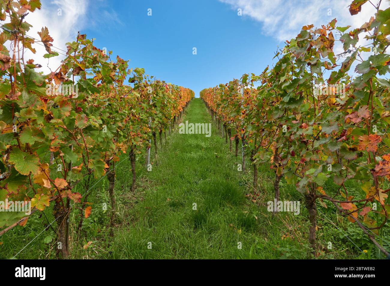 Stetten hi-res stock photography and images - Alamy