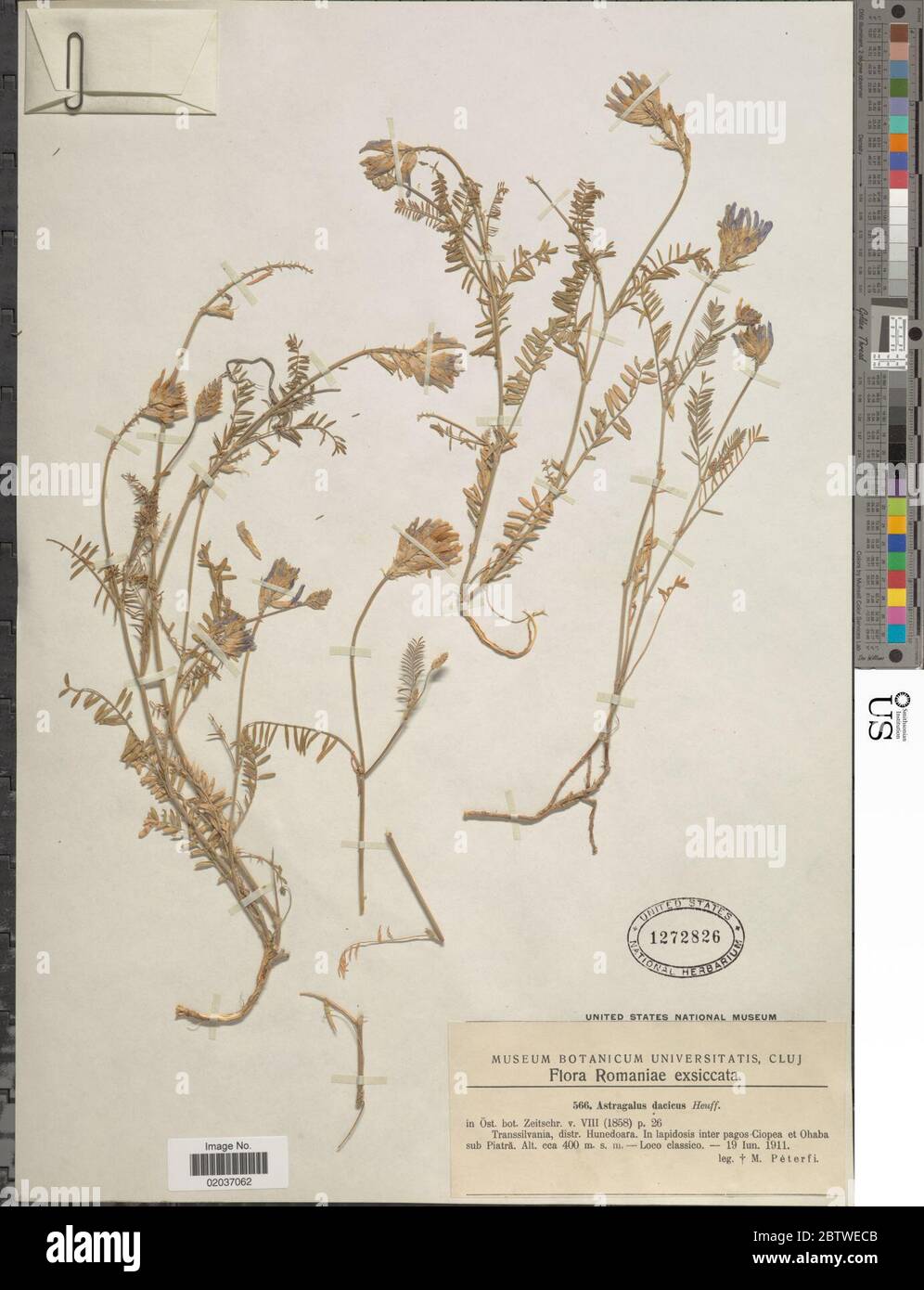 Heuff hi-res stock photography and images - Alamy