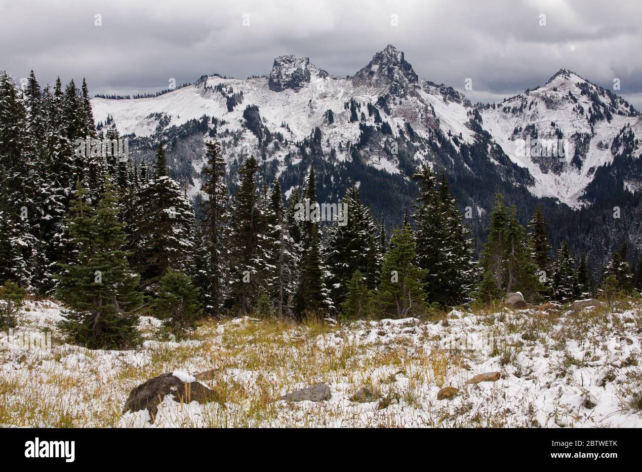 A light snow-covered ground at Mt. Rainier National Park with the ...