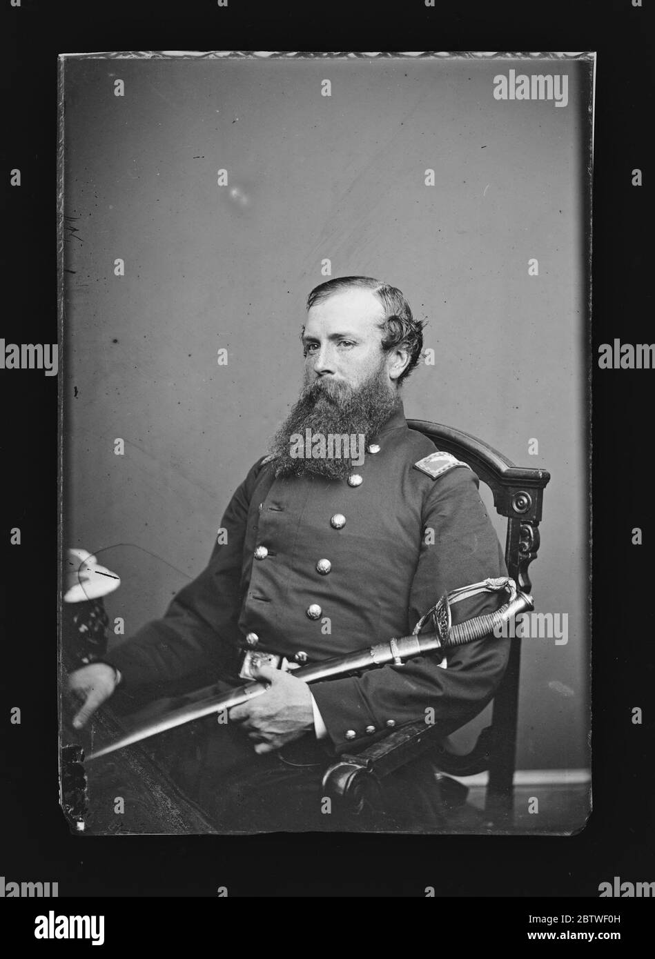 Graham plant hi-res stock photography and images - Alamy