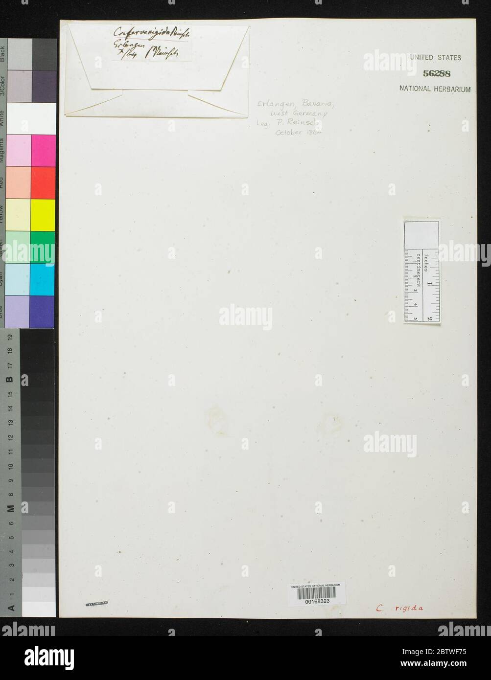 Reinsch hi-res stock photography and images - Alamy