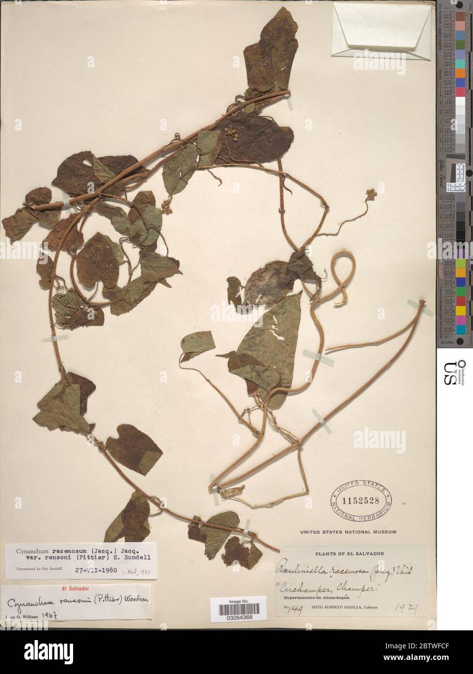 Sundell hi-res stock photography and images - Alamy