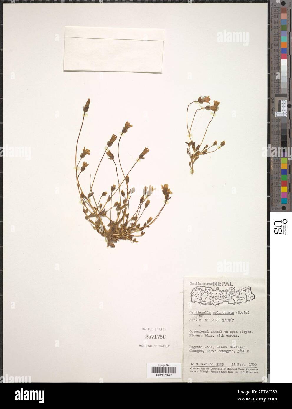 Harry nilsson hi-res stock photography and images - Alamy