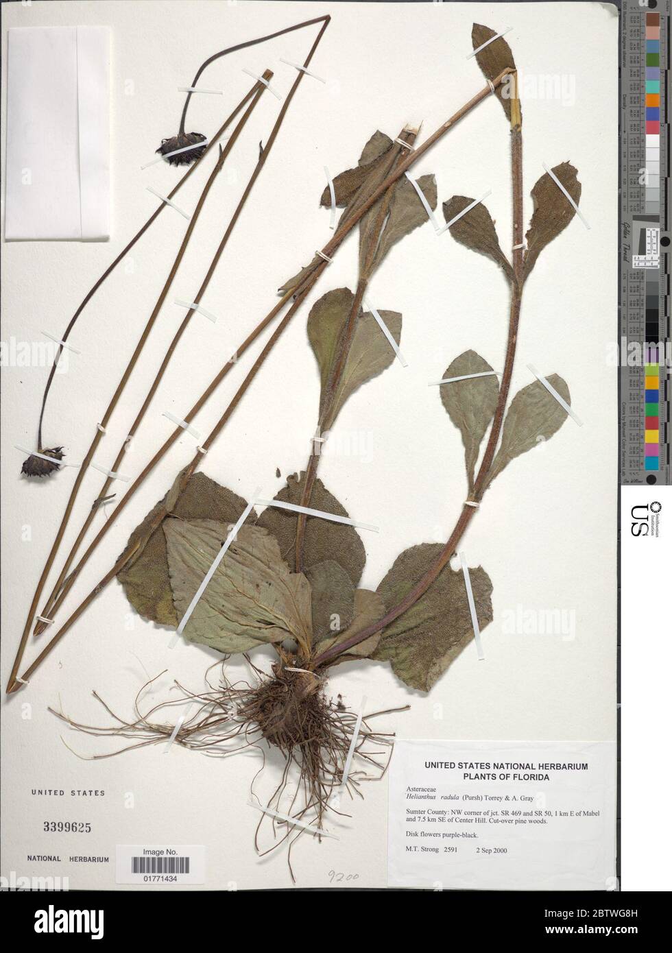 Pursch hi-res stock photography and images - Alamy