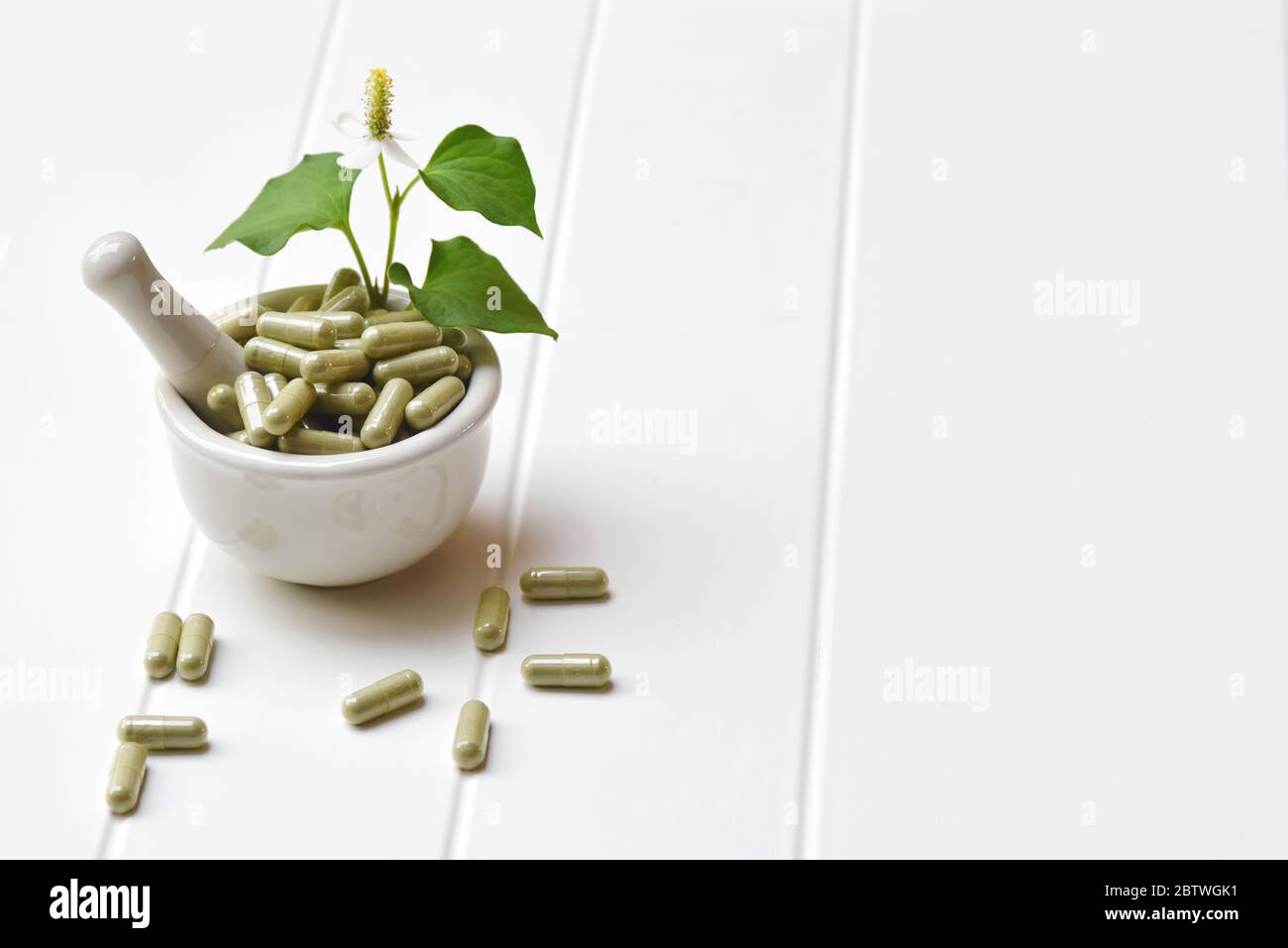 Herbal medicine in capsules from Houttuynia cordata or chameleon fish ...