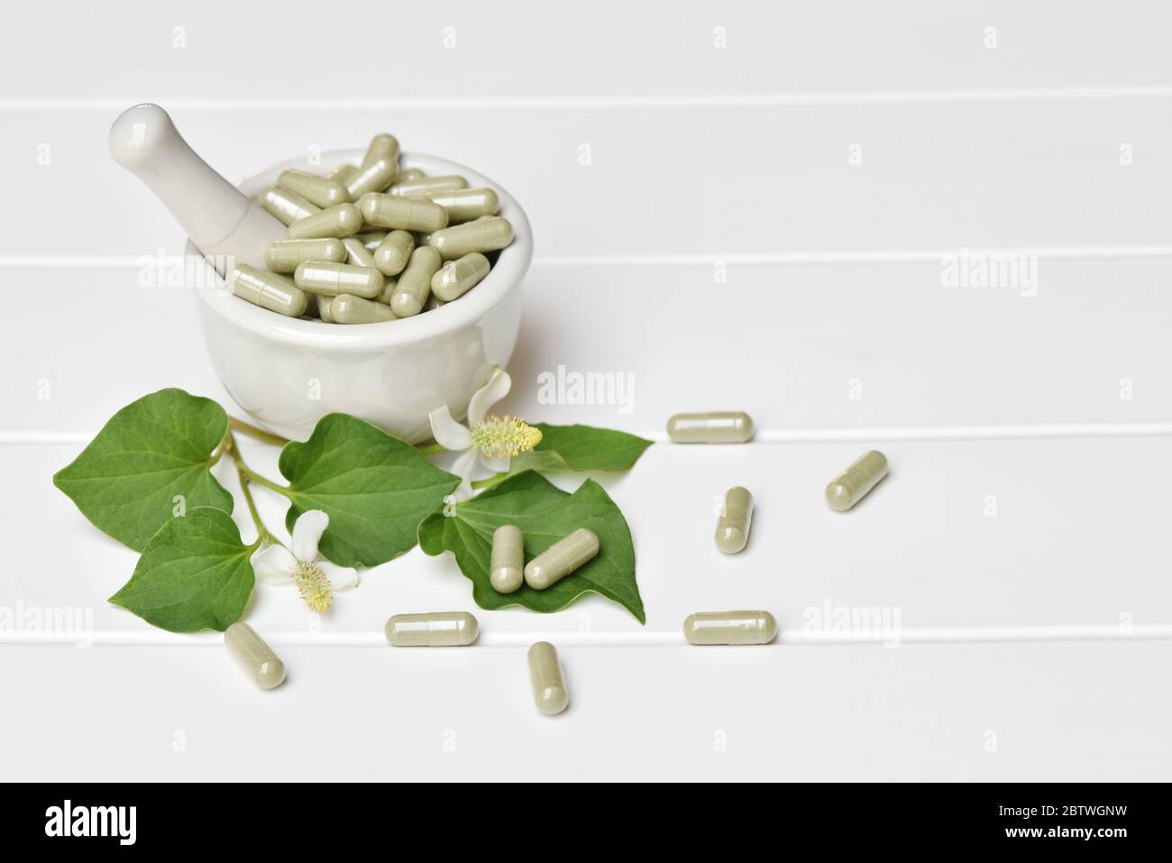 Herbal medicine in capsules from Houttuynia cordata or chameleon fish ...