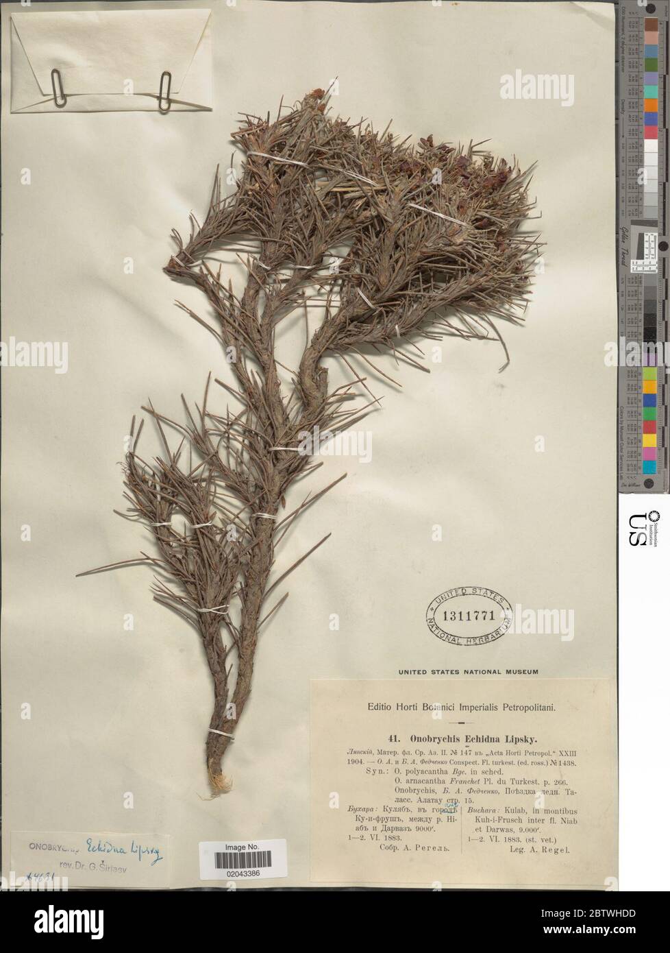 Lipsky hi-res stock photography and images - Alamy