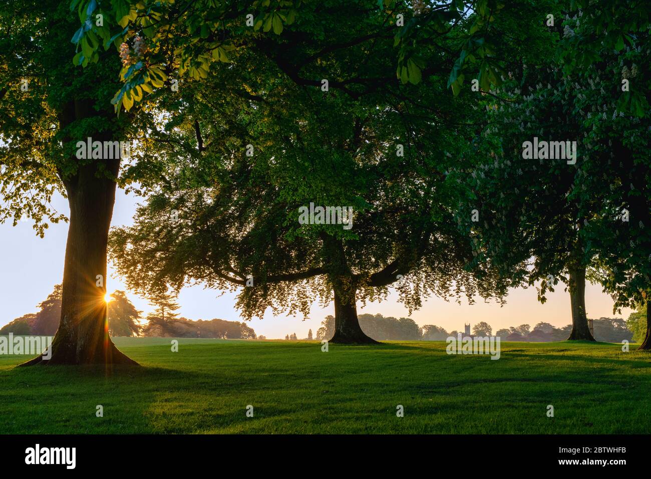 Spring sunrise across Blenheim palace park. Oxfordshire, England Stock ...