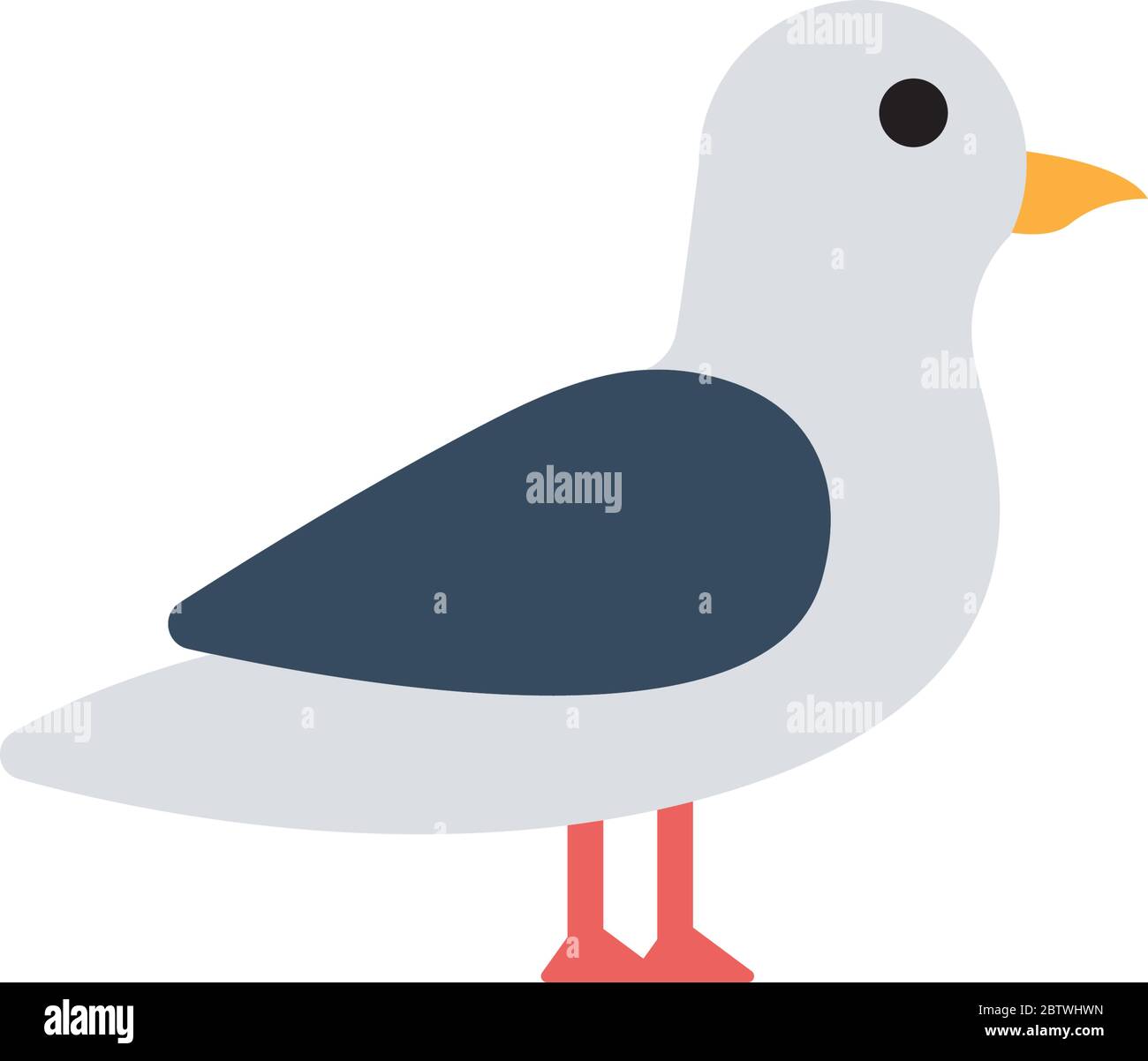 Gull with isolated background Stock Vector Images - Alamy