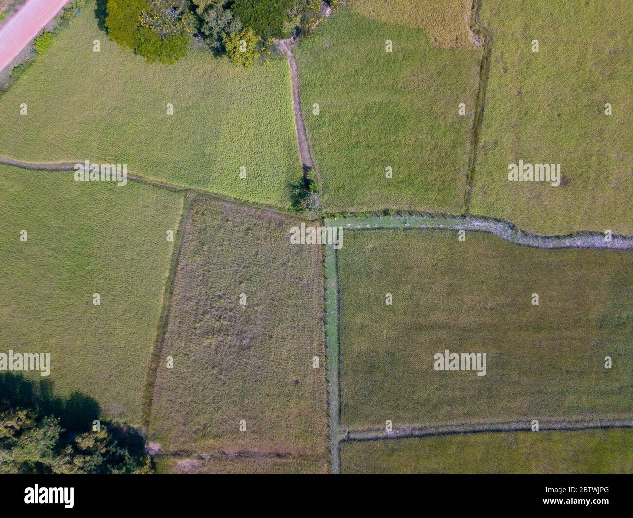Aerial view of the rice field landscape for nature background Stock ...