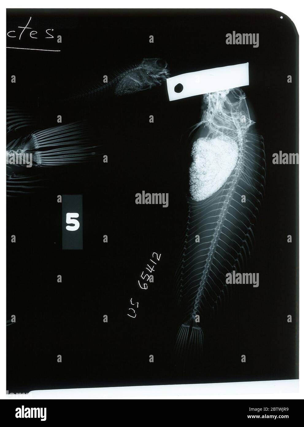 Archival record study Cut Out Stock Images & Pictures - Alamy