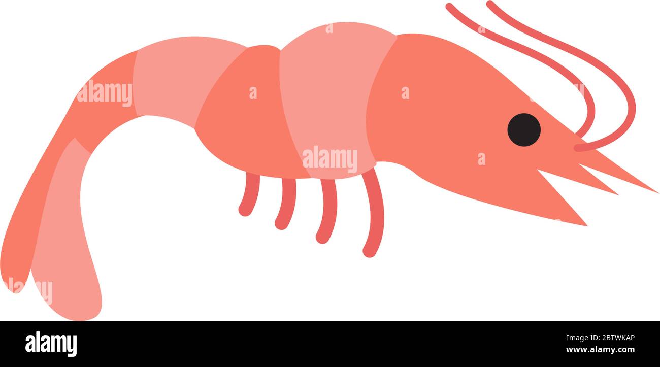 Shrimp vector logo hi-res stock photography and images - Alamy