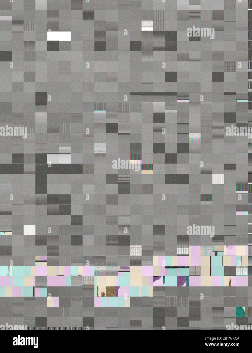 Macroptera hi-res stock photography and images - Alamy