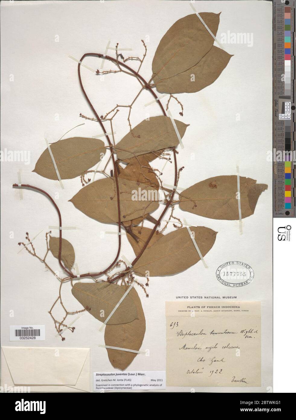 Juventas hi-res stock photography and images - Alamy