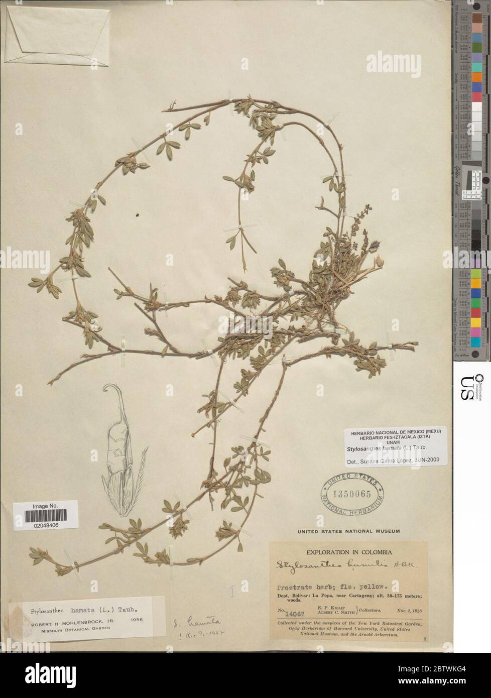 Stylo hi-res stock photography and images - Alamy