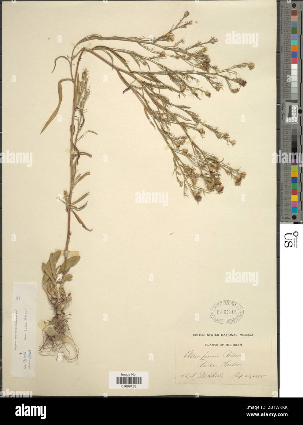 Faxoni hi-res stock photography and images - Alamy