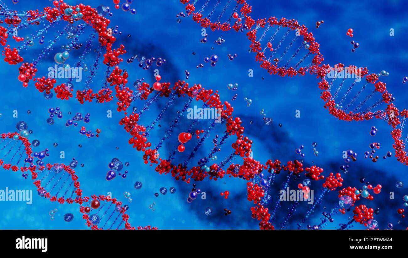 human dna chain. Genome structure. helix molecule in the body Stock ...