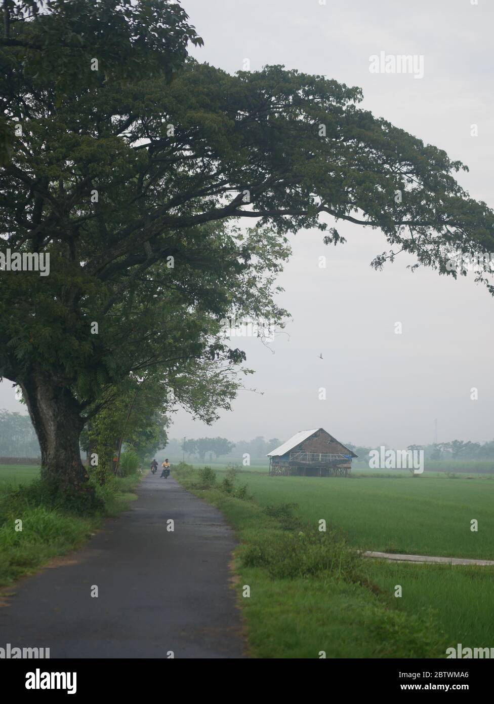 Indonesia agricultural hi-res stock photography and images - Alamy
