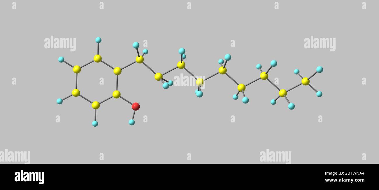 Nonylphenols are a family of closely related organic compounds called ...