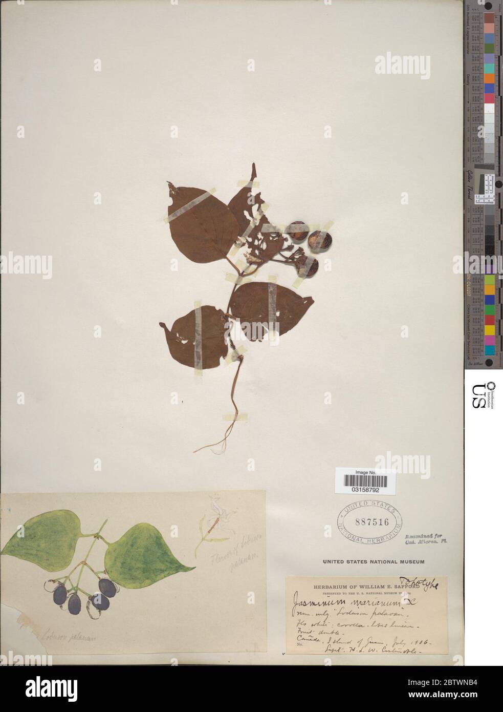 Marian collection hi-res stock photography and images - Alamy