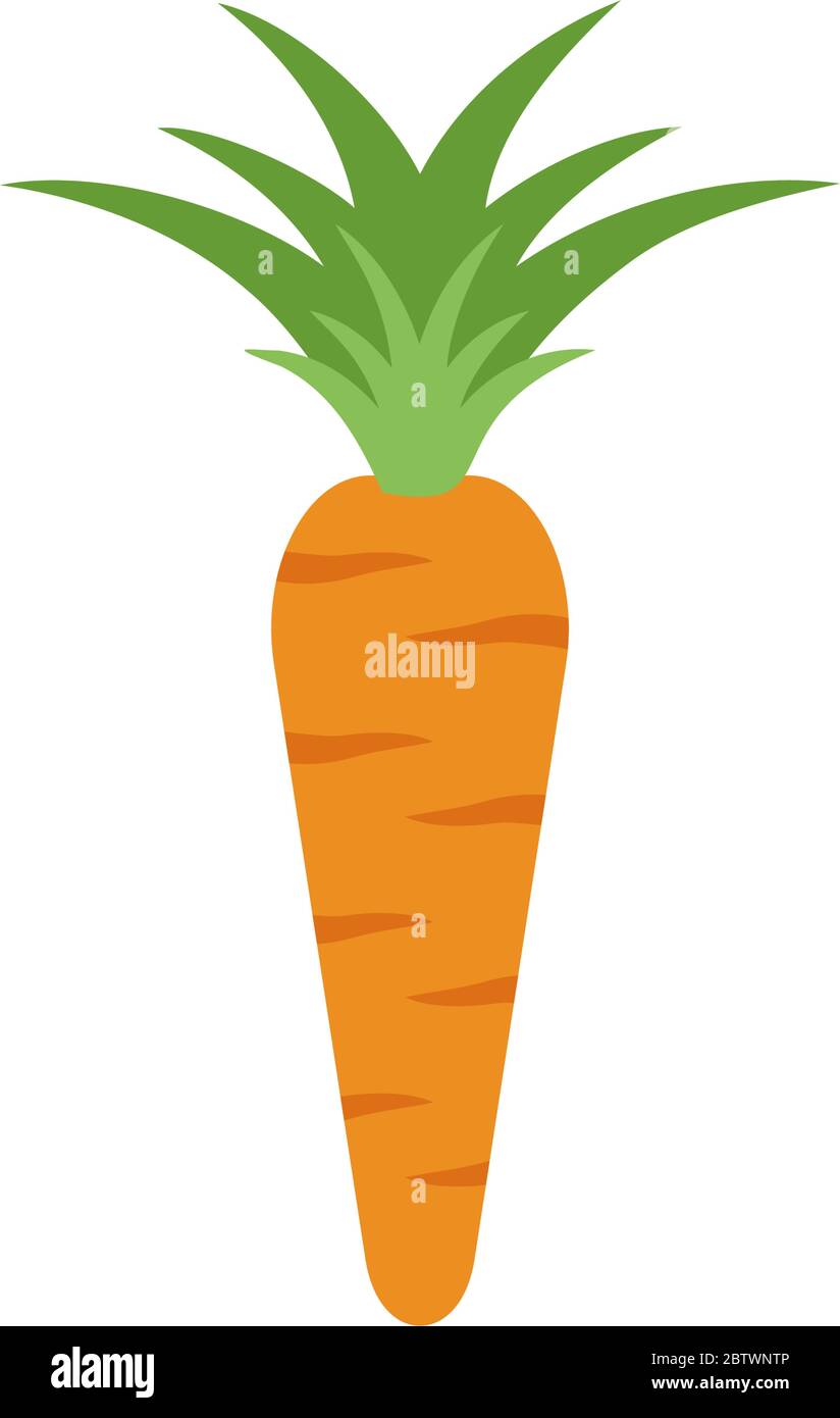 Carrot graphic design template vector isolated Stock Vector Image & Art ... Carrot graphic design template vector isolated Stock Vector Image & Art ...