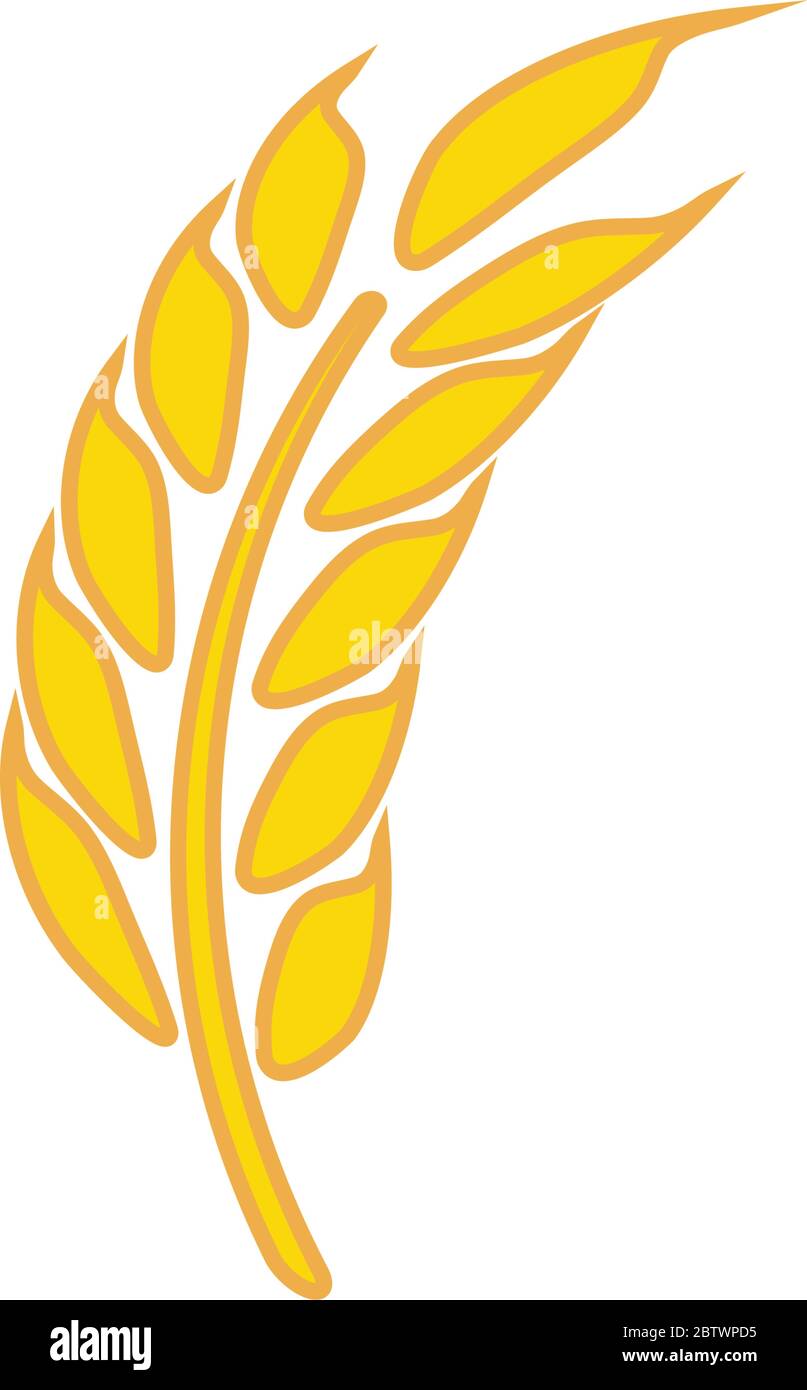 Wheat graphic design template vector isolated Stock Vector Image & Art ... Wheat graphic design template vector isolated Stock Vector Image & Art ...