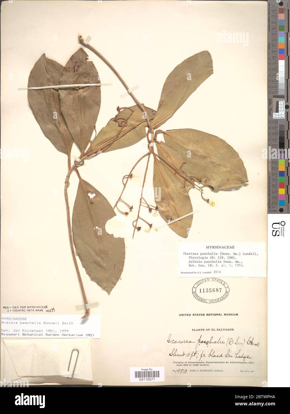 Paschalis hi-res stock photography and images - Alamy