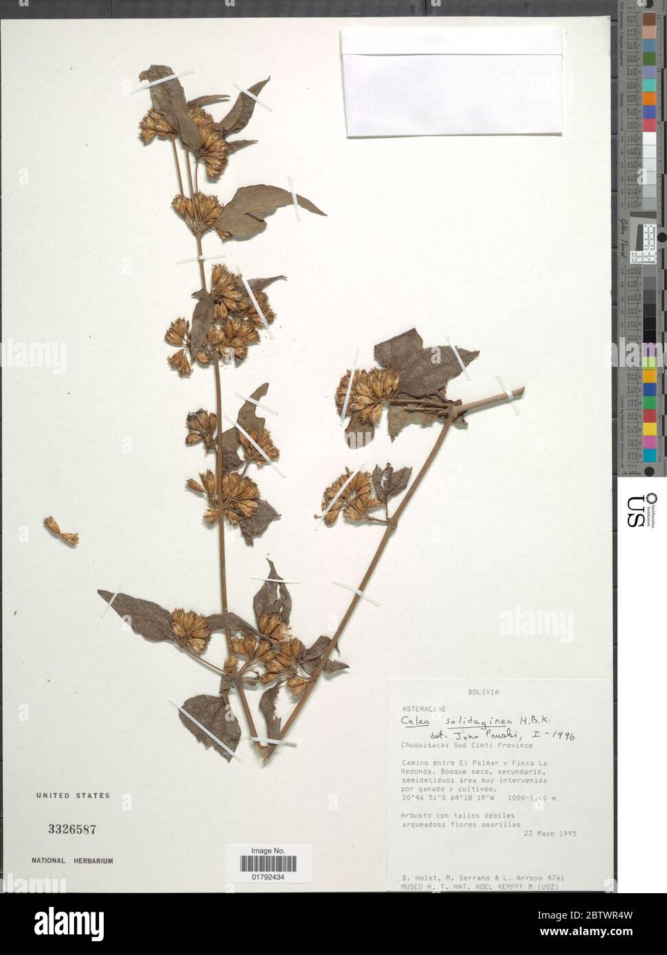 Calea image hi-res stock photography and images - Alamy