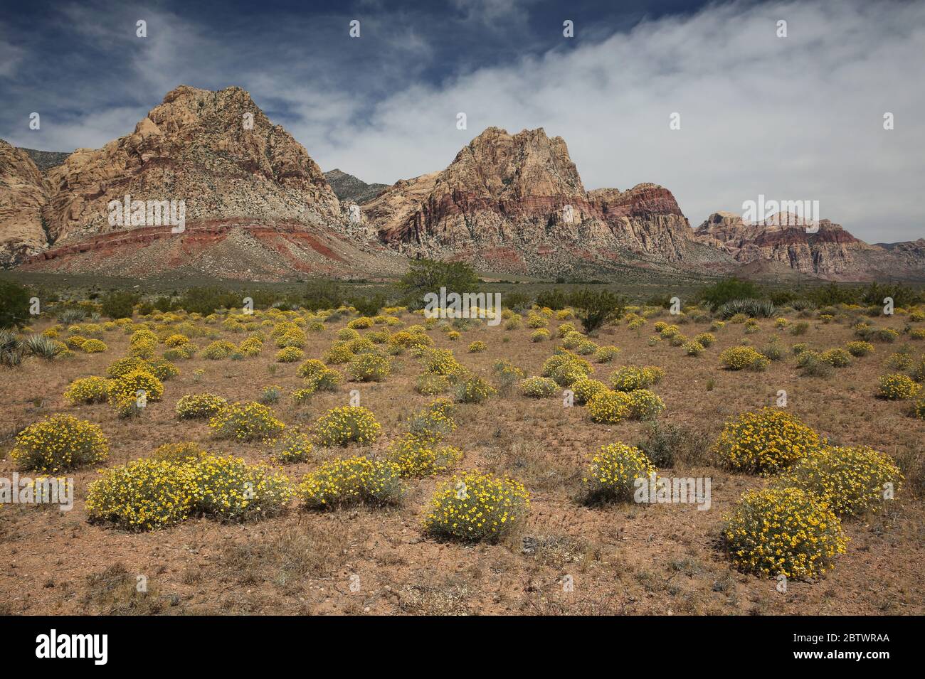 Landscape in Red Rock Canyon National Conservation Area, Nevada, USA ...