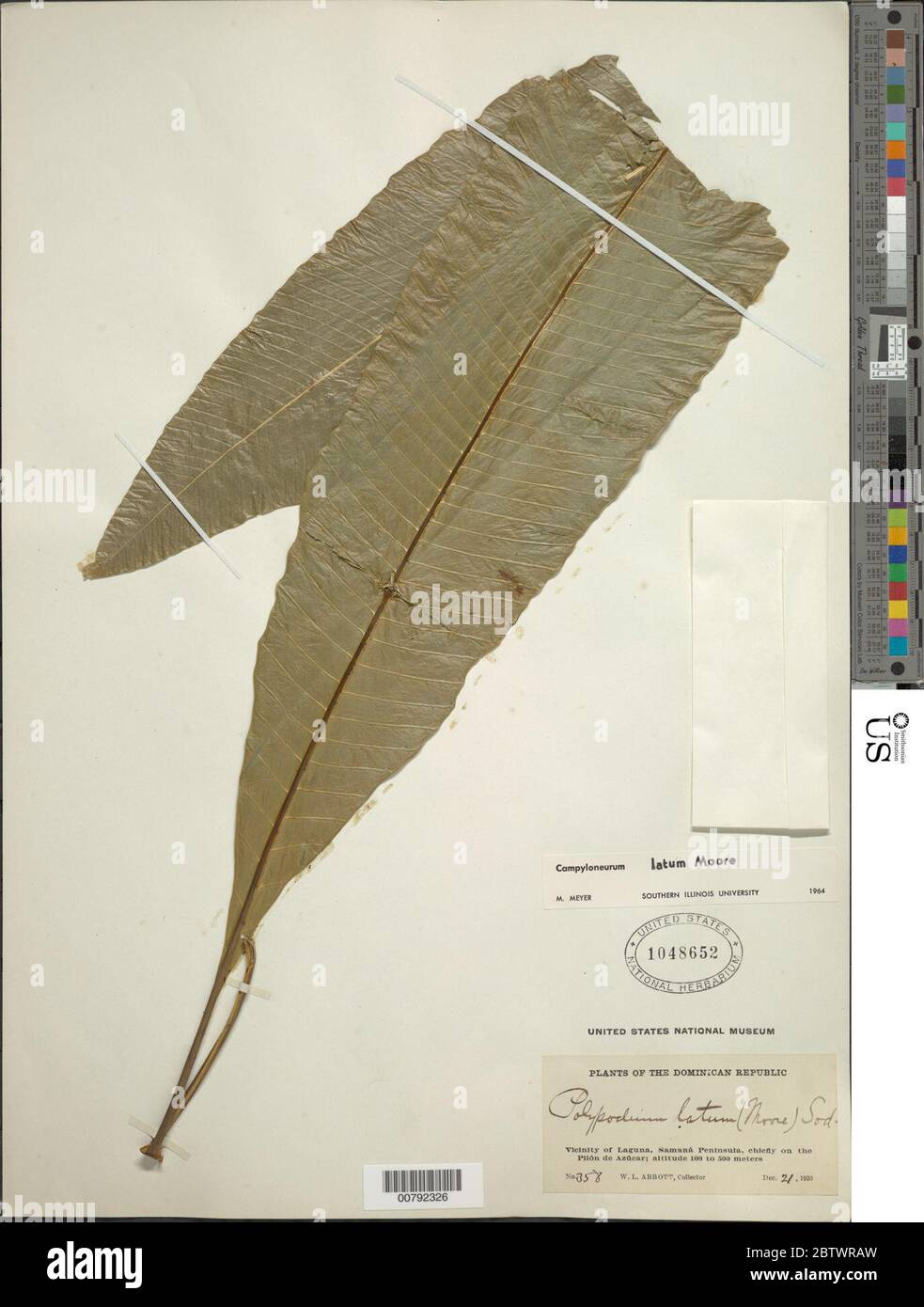 Latum hi-res stock photography and images - Alamy