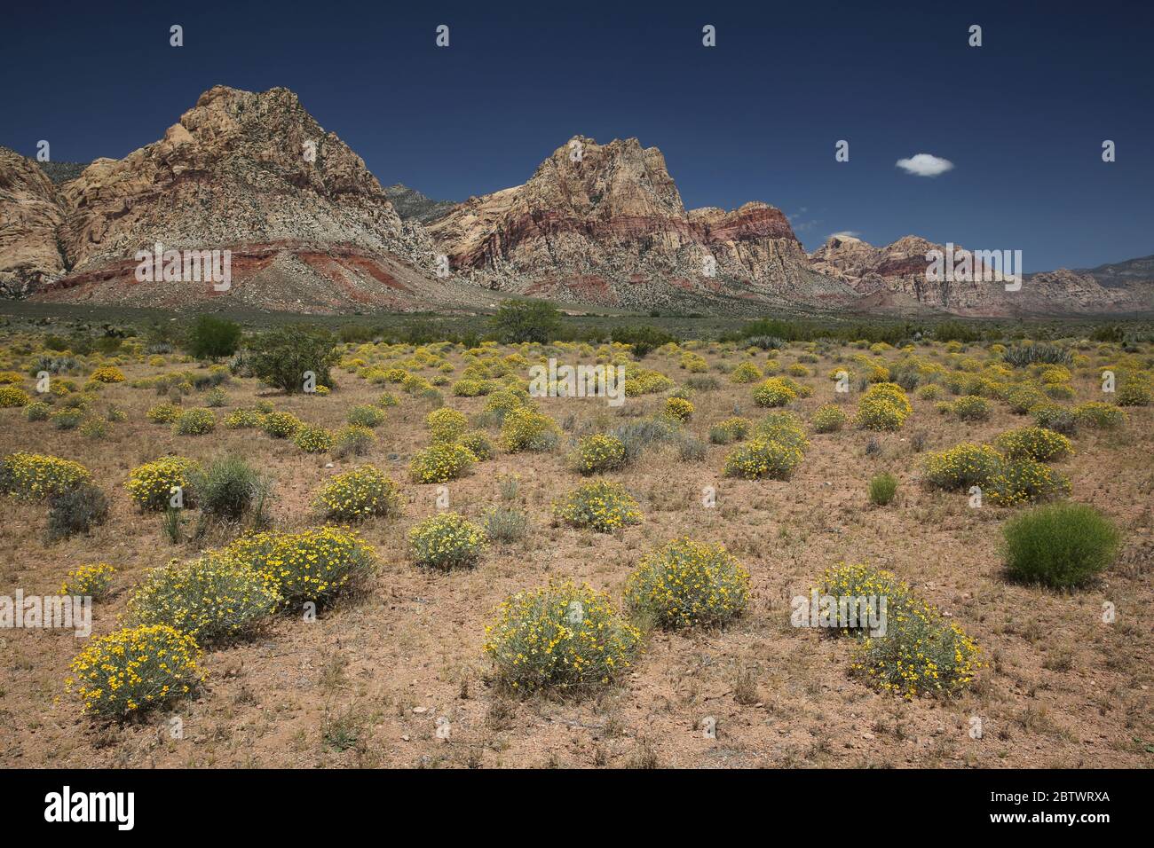 Landscape in Red Rock Canyon National Conservation Area, Nevada, USA ...
