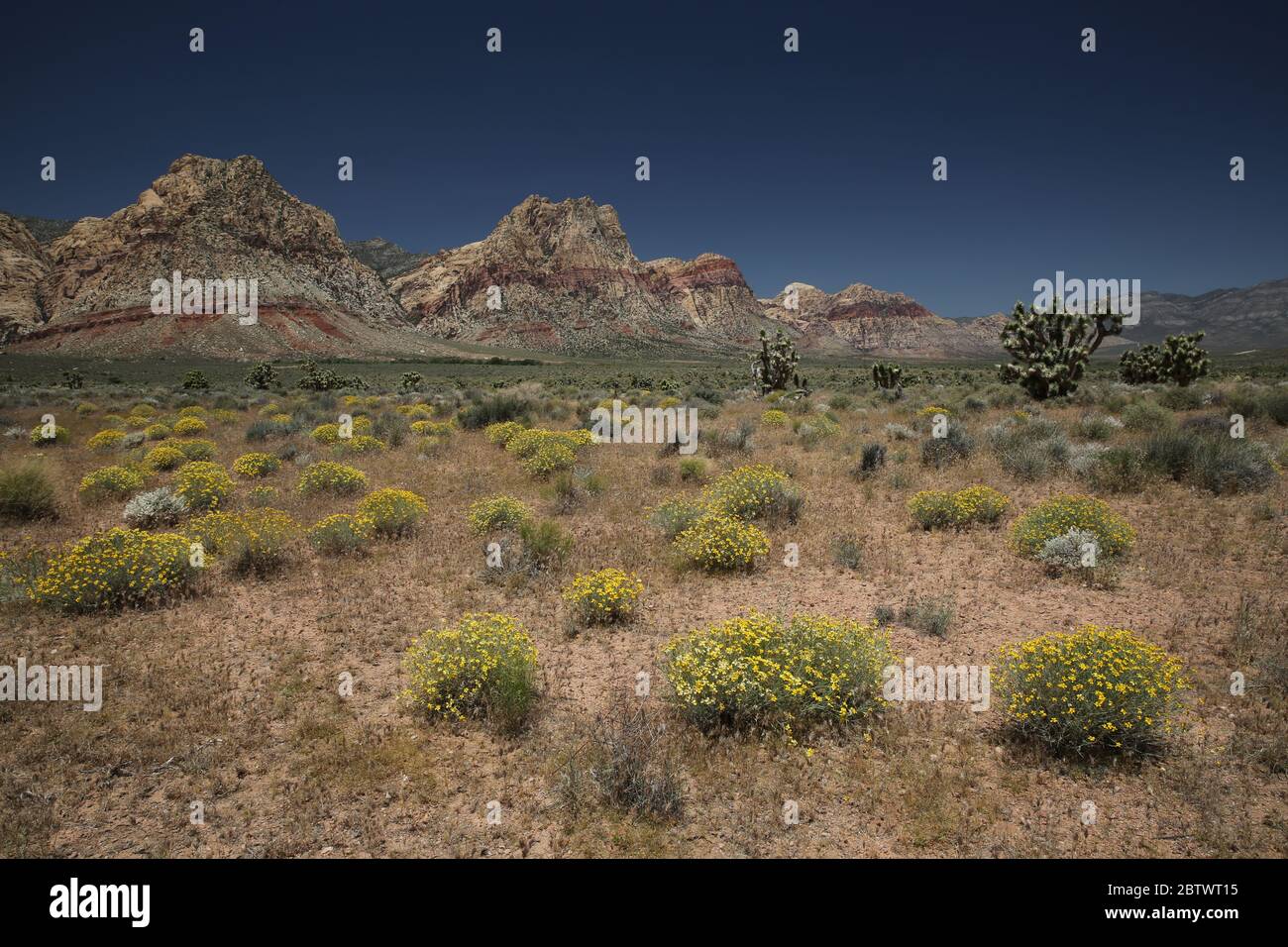 Landscape in Red Rock Canyon National Conservation Area, Nevada, USA ...