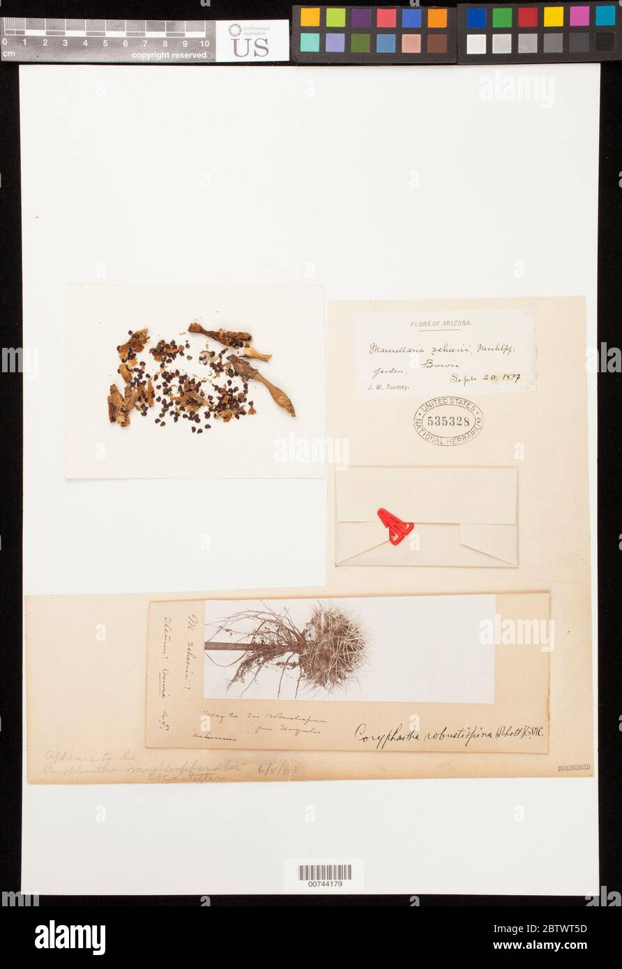 Scheeri hi-res stock photography and images - Alamy