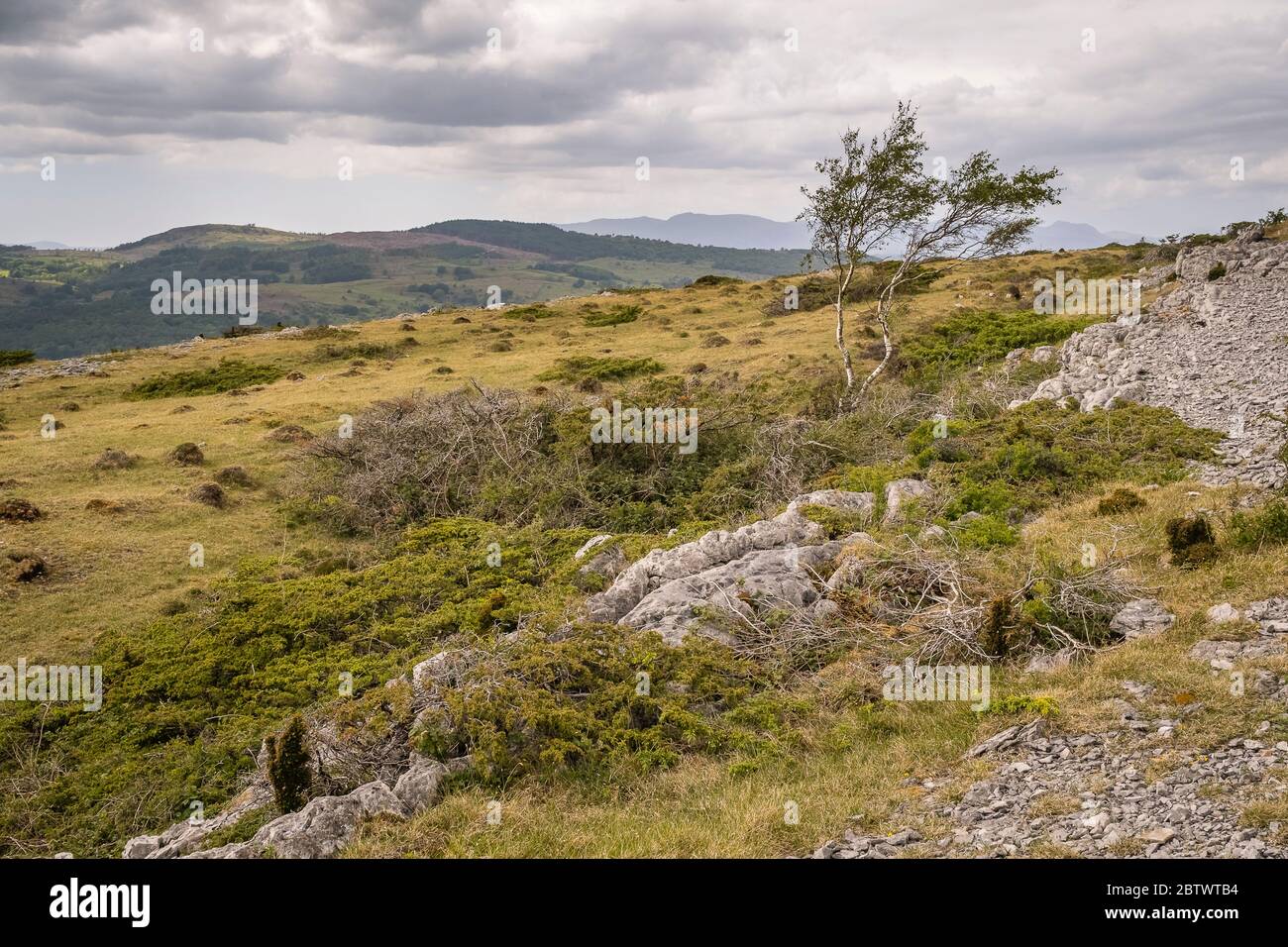 Whitbarrow scar hi-res stock photography and images - Alamy