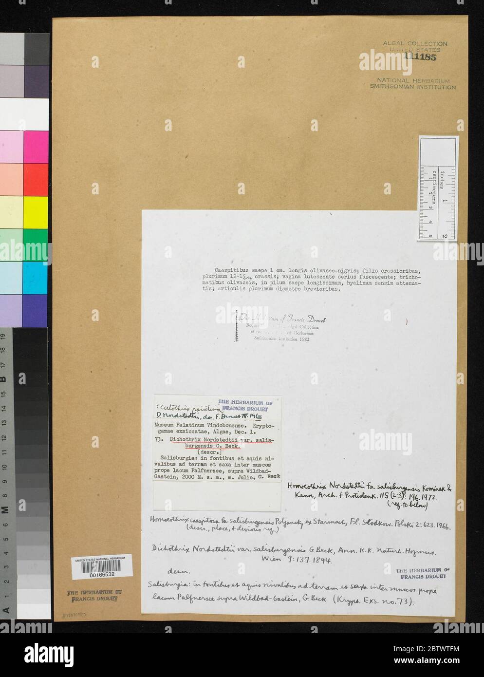 Salisburgensis hi-res stock photography and images - Alamy