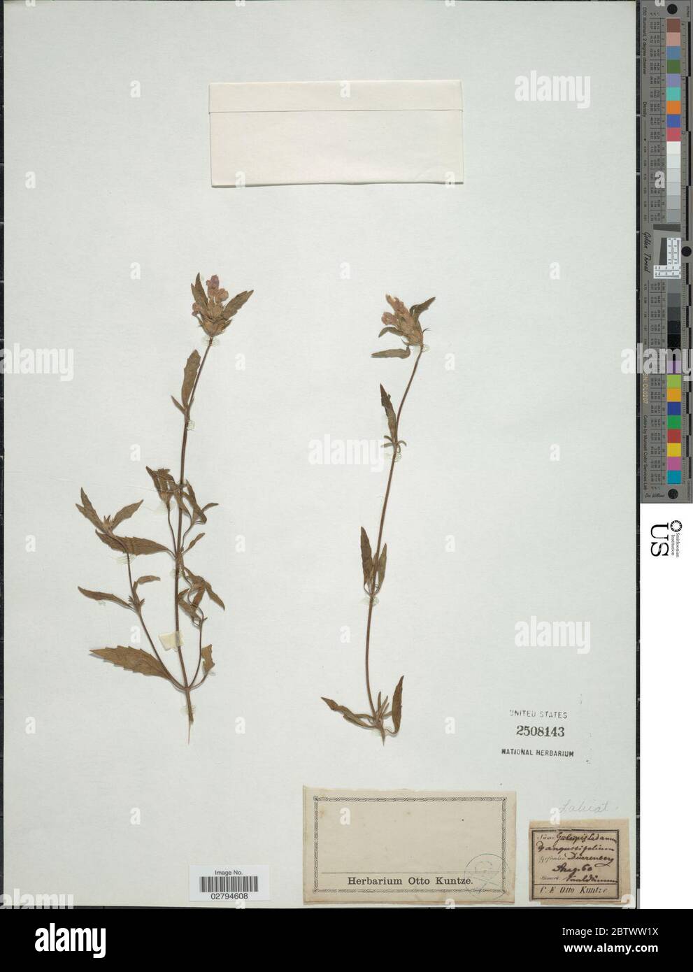 Ladanum hi-res stock photography and images - Alamy