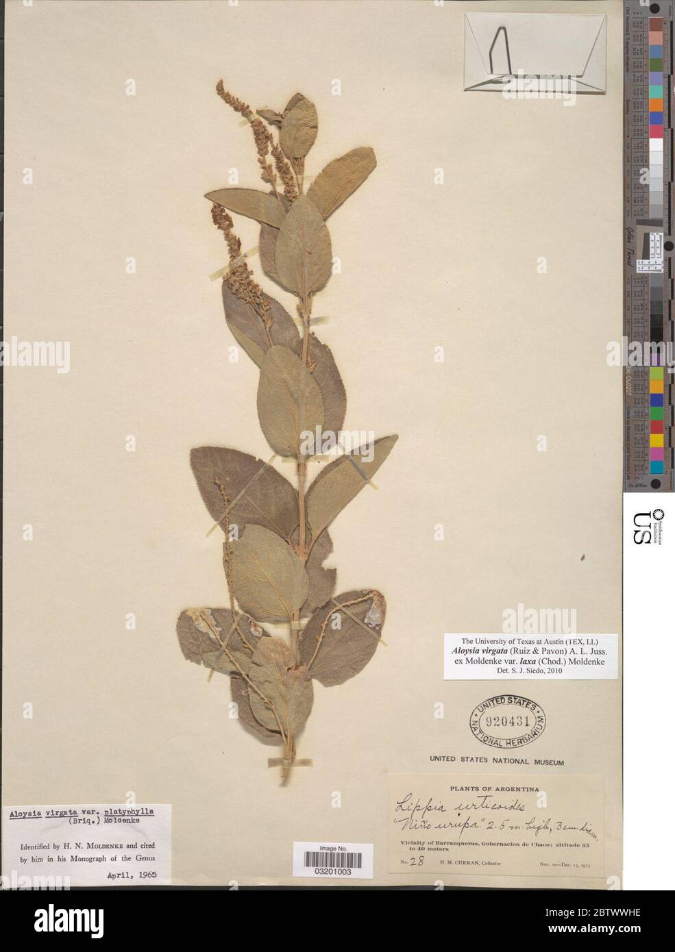 Indet hi-res stock photography and images - Alamy