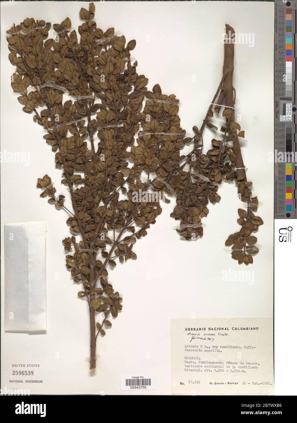 Summa hi-res stock photography and images - Alamy