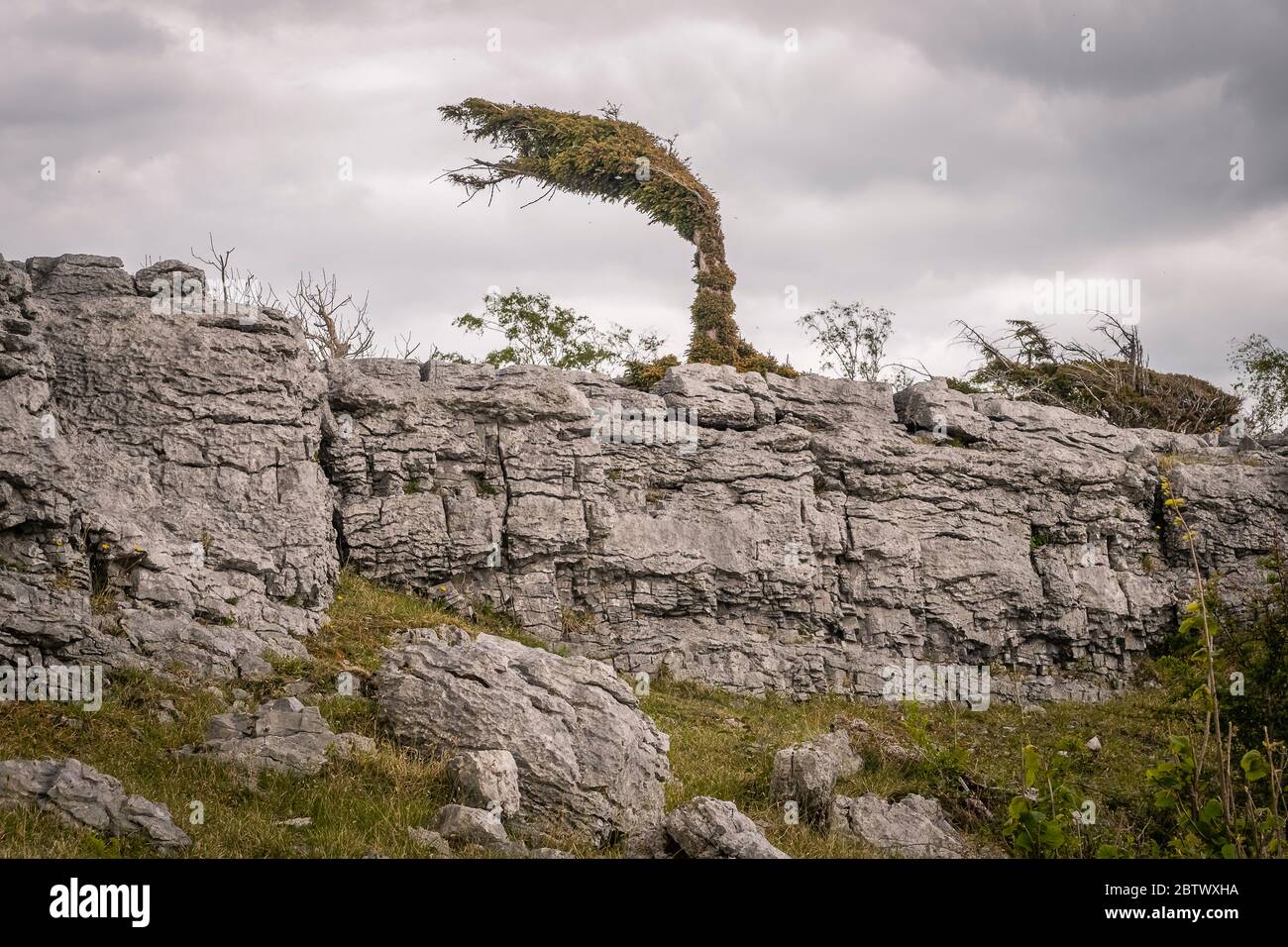 Whitbarrow scar hi-res stock photography and images - Alamy