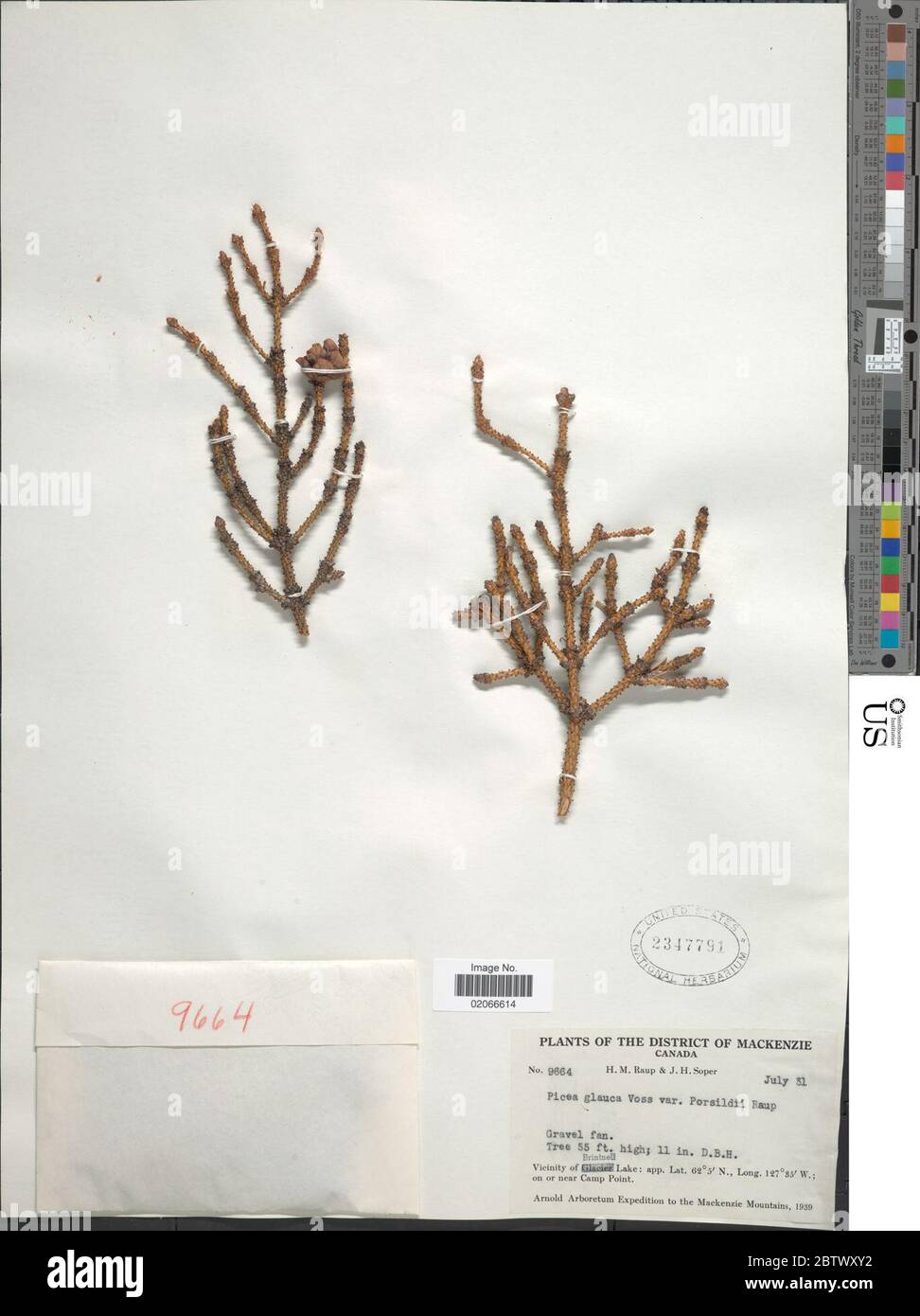 Raup hi-res stock photography and images - Alamy