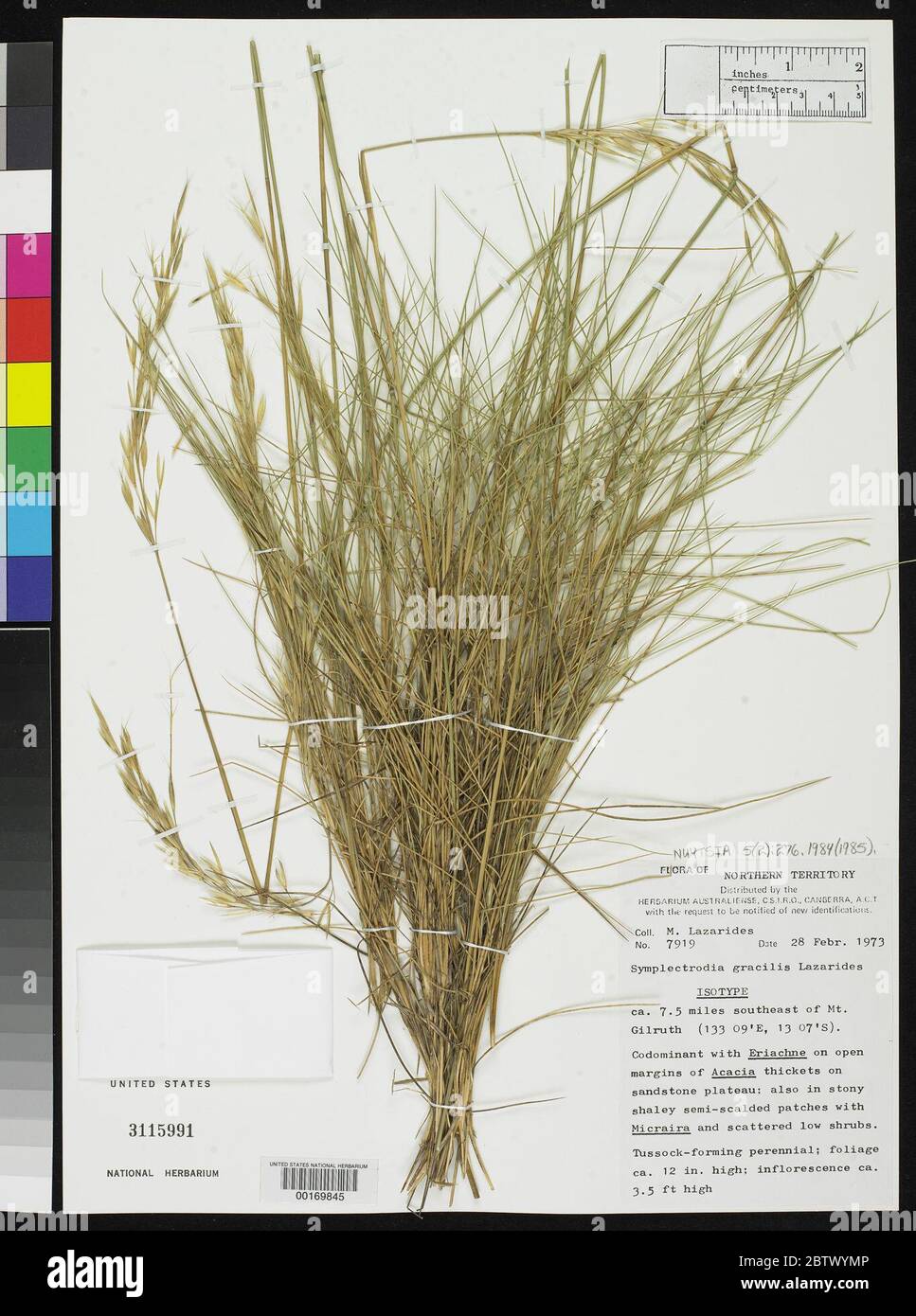 Lazarides hi-res stock photography and images - Alamy