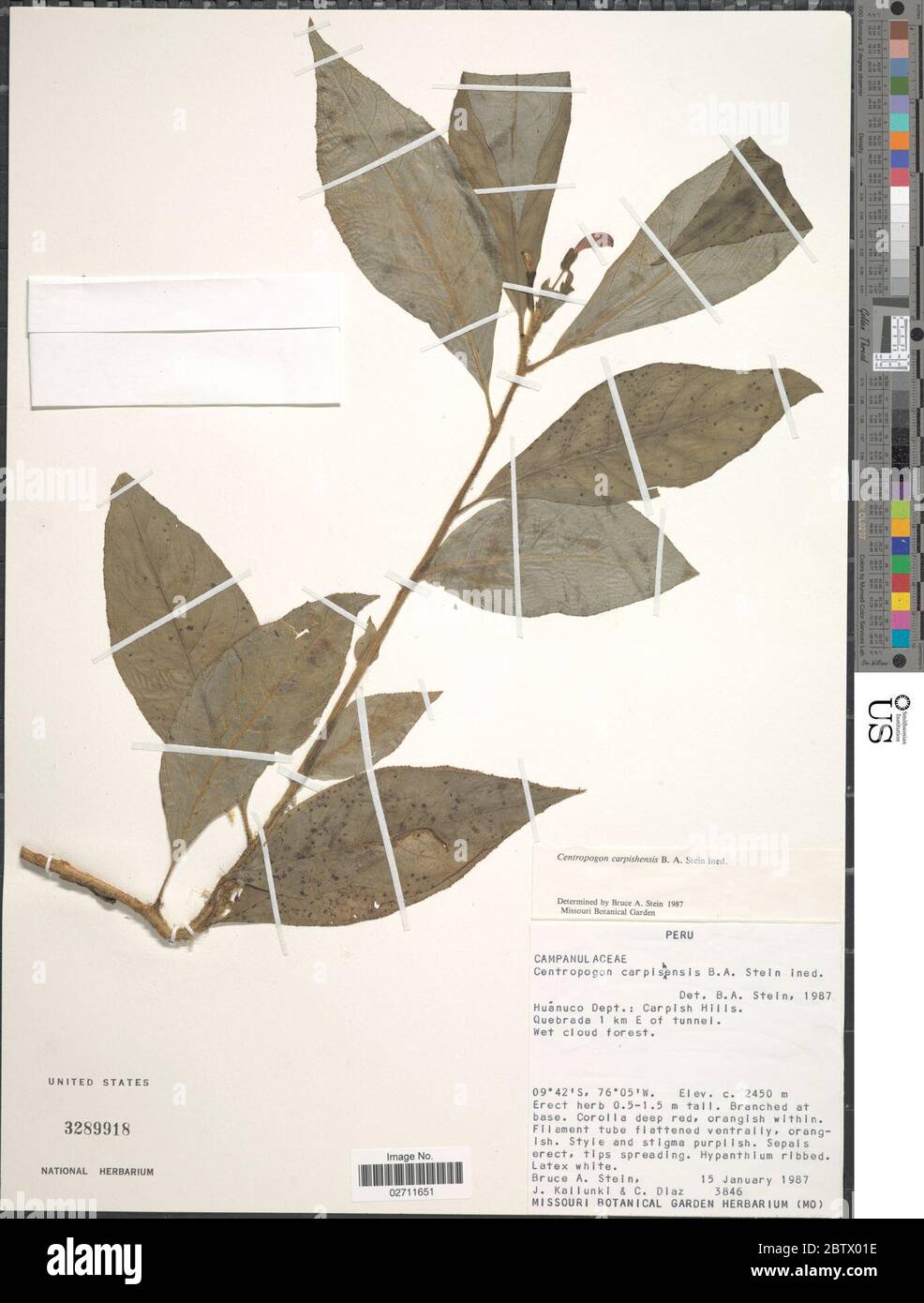 Unpublished research hi-res stock photography and images - Alamy