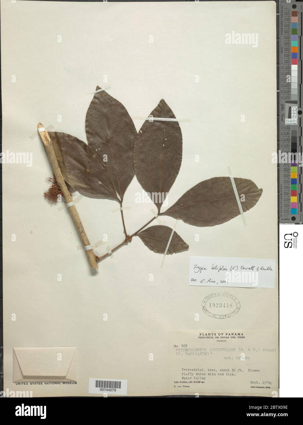 Fawc hi-res stock photography and images - Alamy