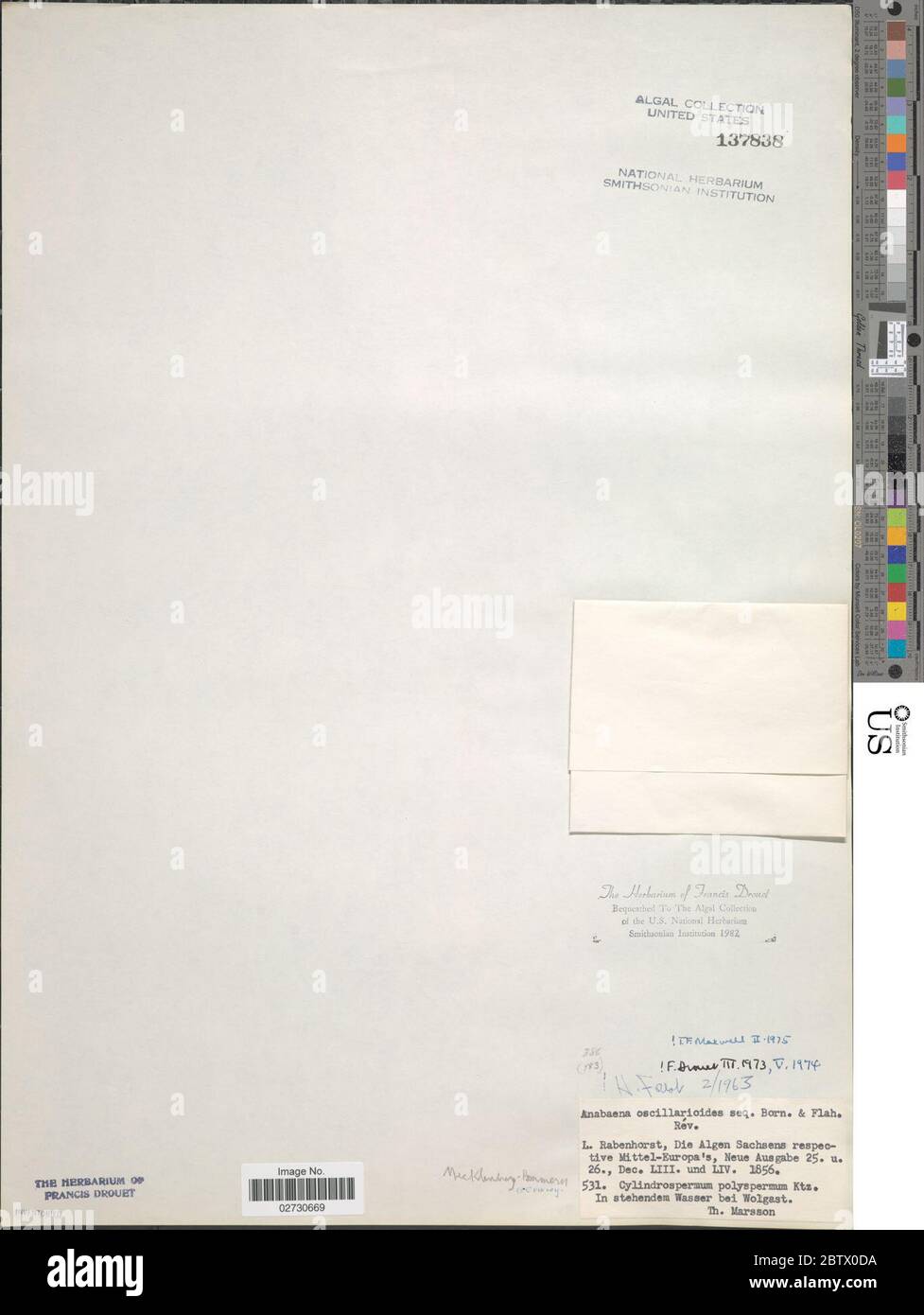 Anabaena bacteria hi-res stock photography and images - Alamy