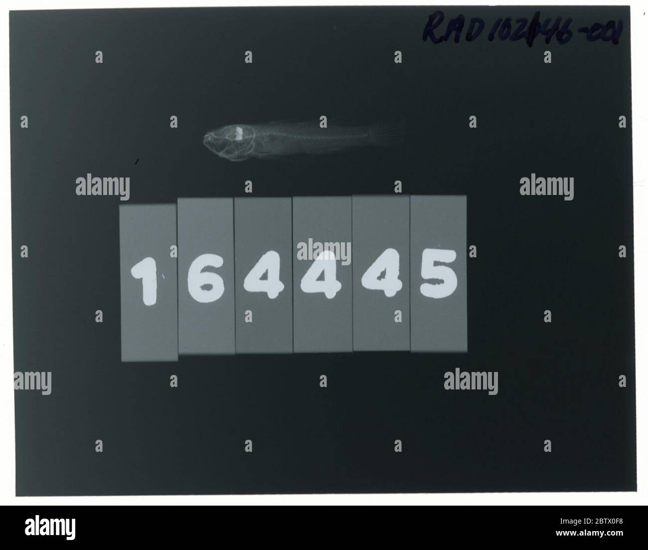 20202 hi-res stock photography and images - Alamy