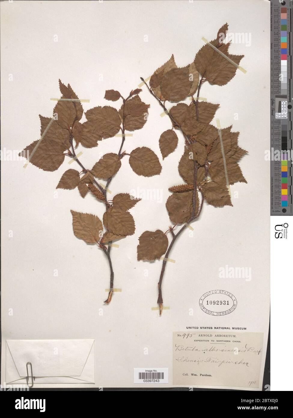 Burkill hi-res stock photography and images - Alamy