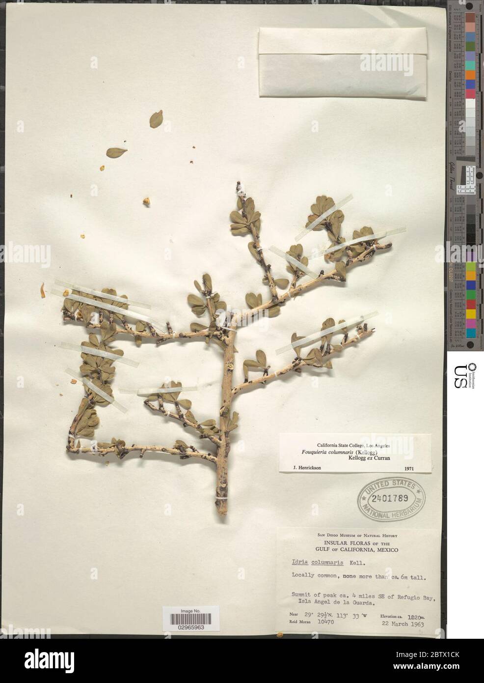 Idria hi-res stock photography and images - Alamy