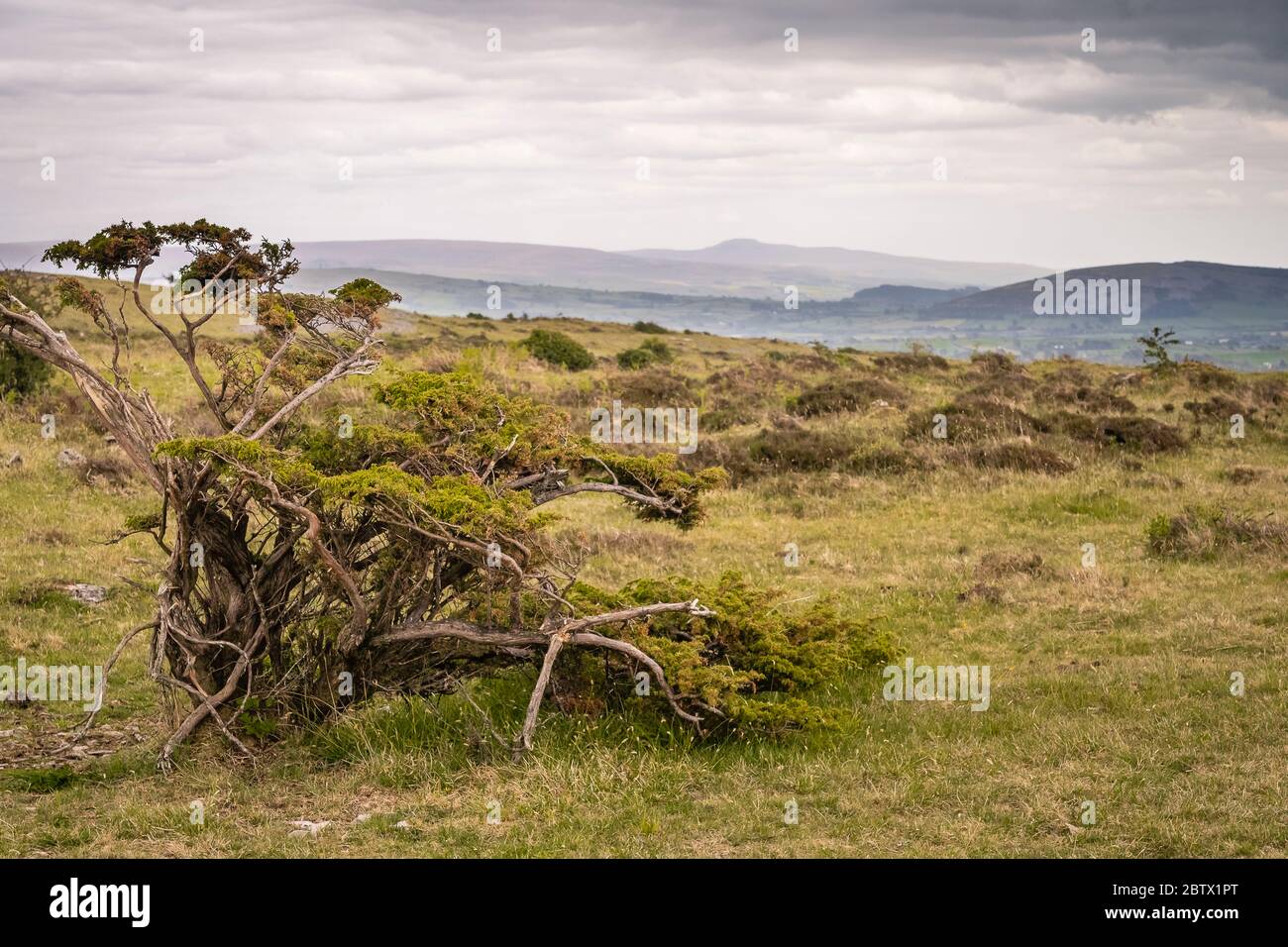 Whitbarrow scar hi-res stock photography and images - Alamy