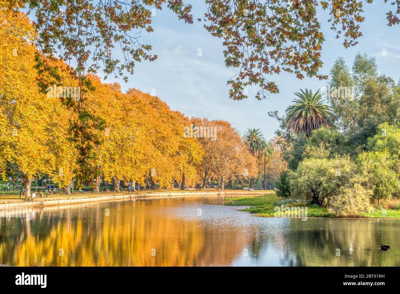 People relaxing in hyde park hi-res stock photography and images - Alamy