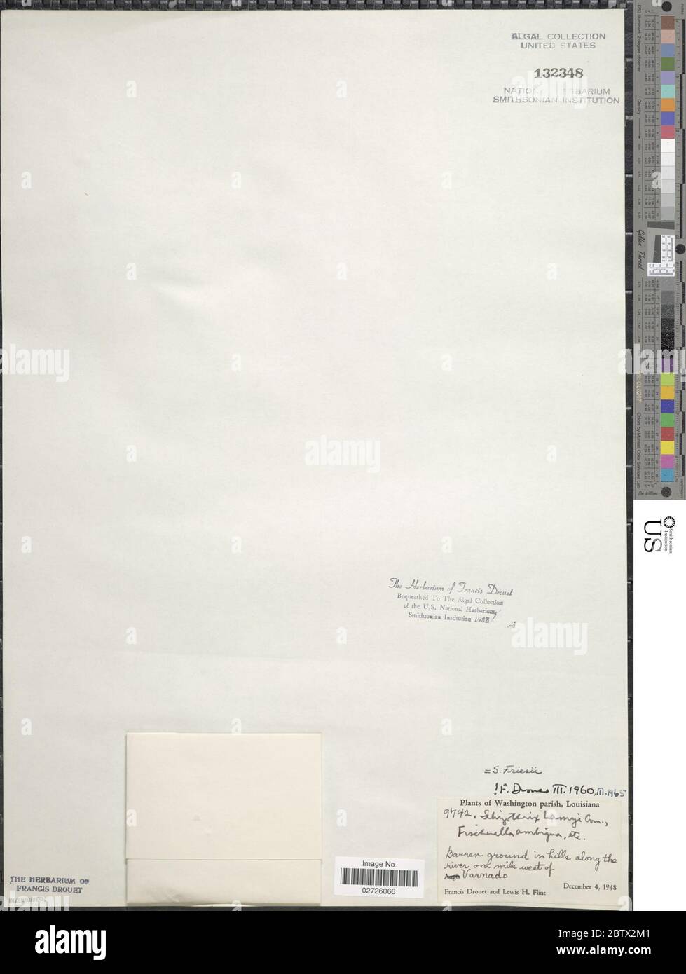 Schizothrix hi-res stock photography and images - Alamy